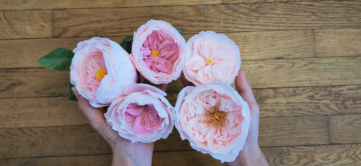 Les Roses Anglaises en Papier Crépon - David Austin Roses - Astuces ...